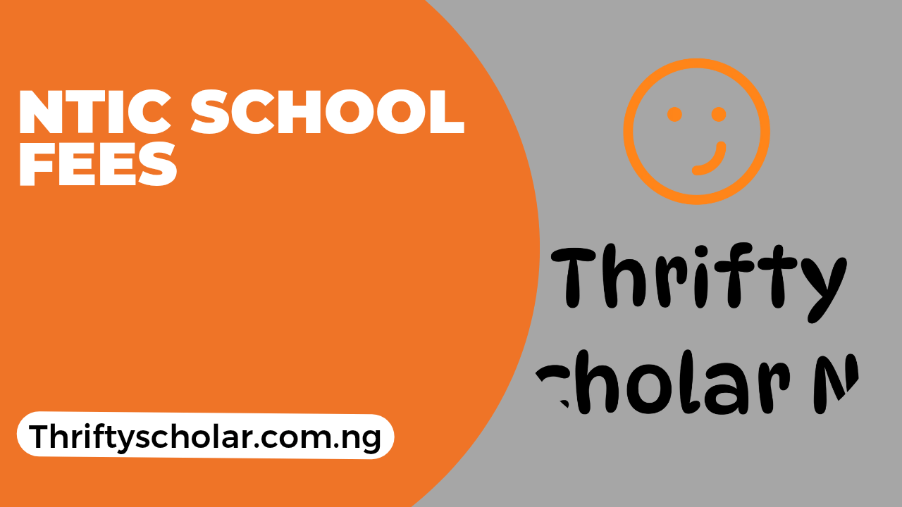 Nigerian Tulip International Colleges (NTIC) School Fees 2026/2027 ...